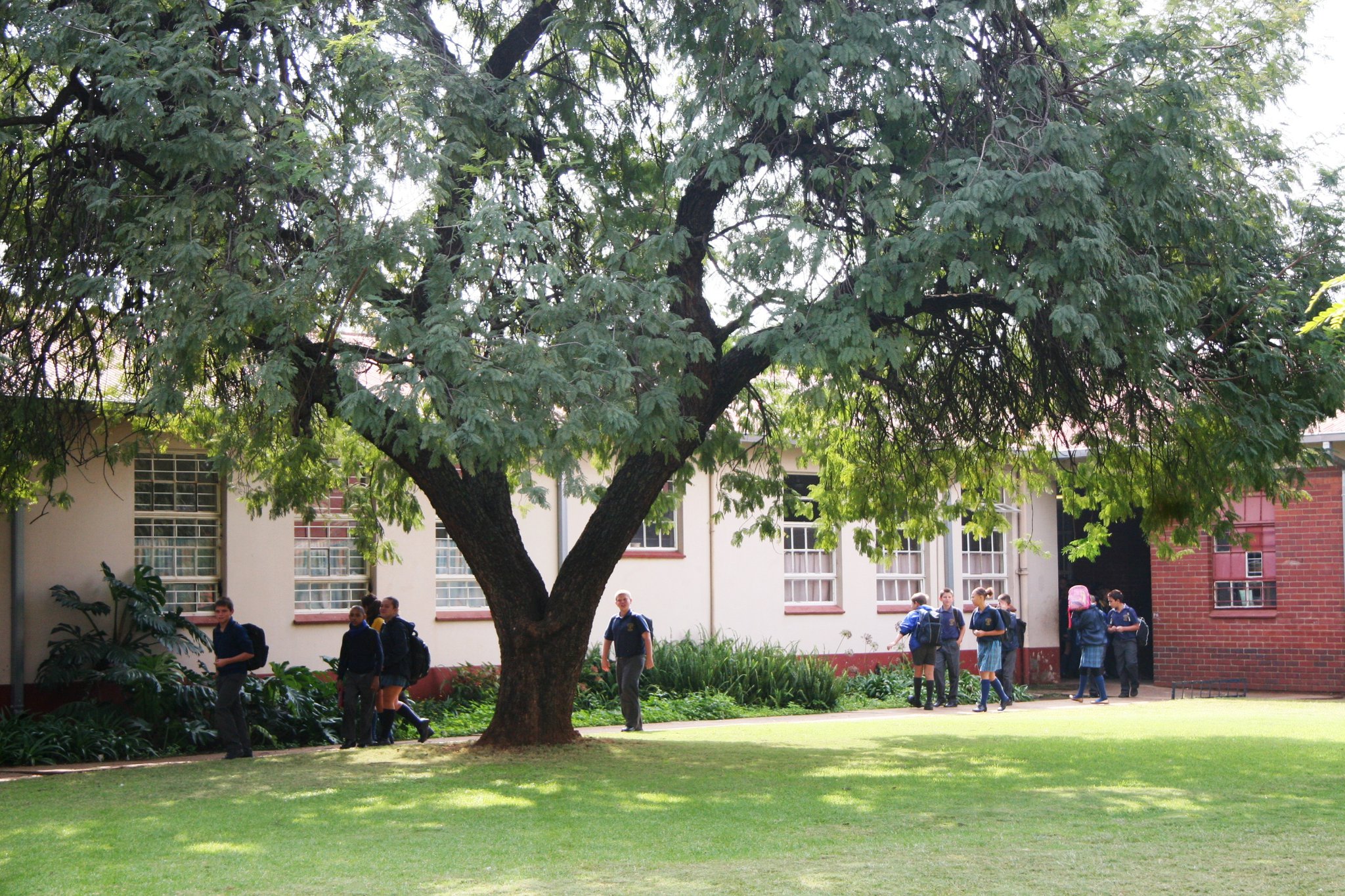 Notice Board – Laerskool Derdepoort