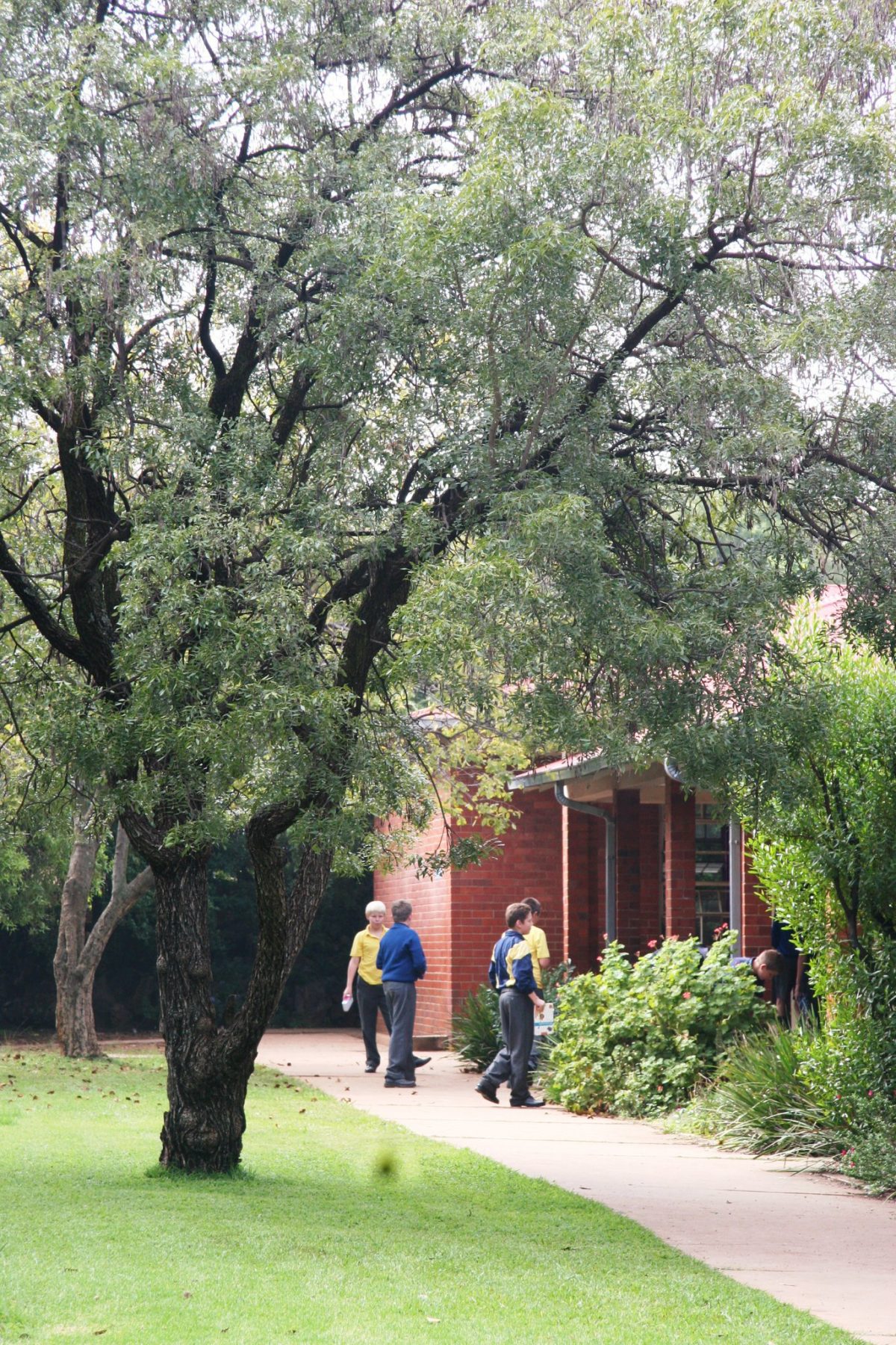Notice Board – Laerskool Derdepoort